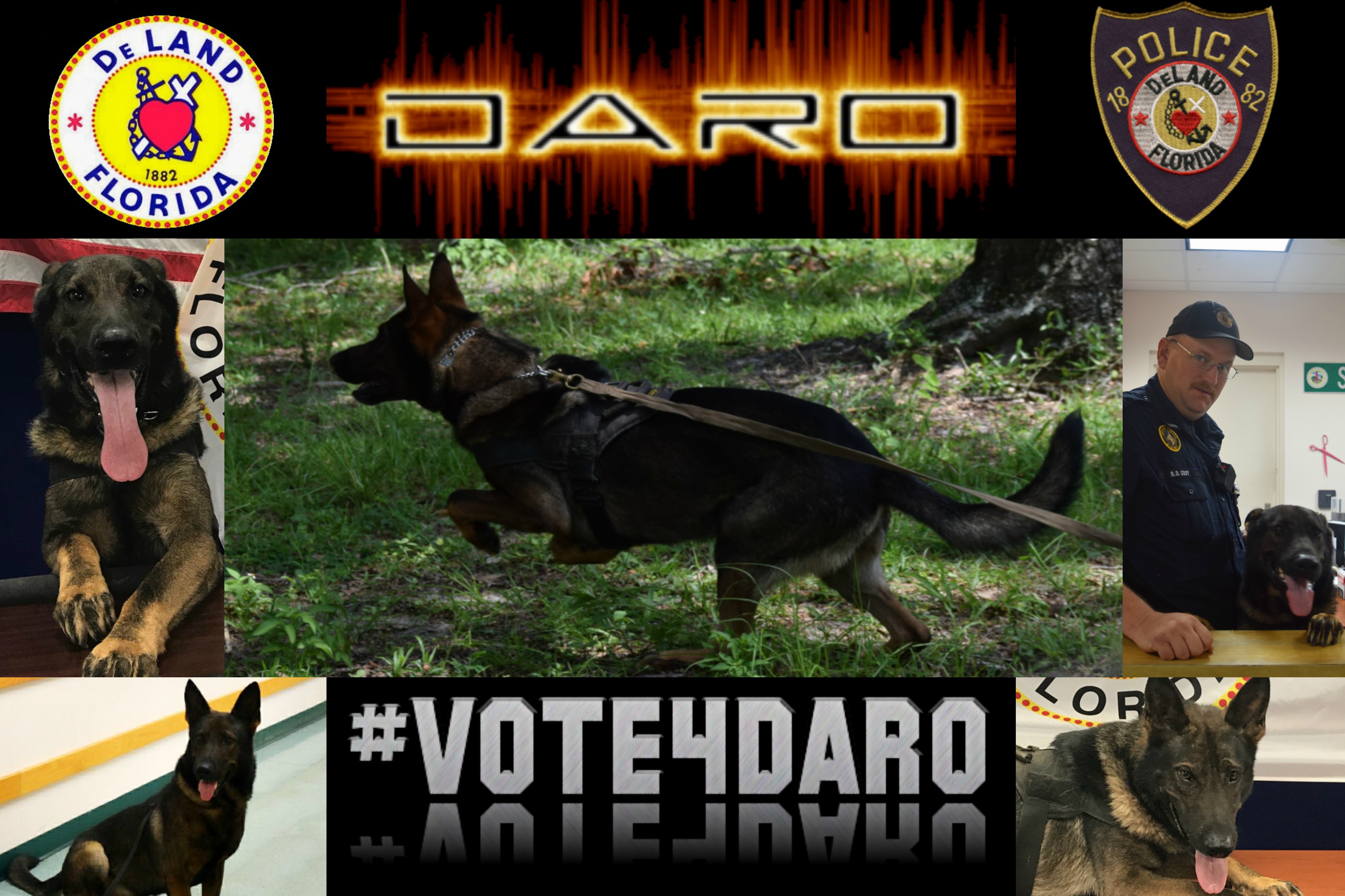 DeLand Police Canine Entered Into Contest For Kevlar Vest | VSO